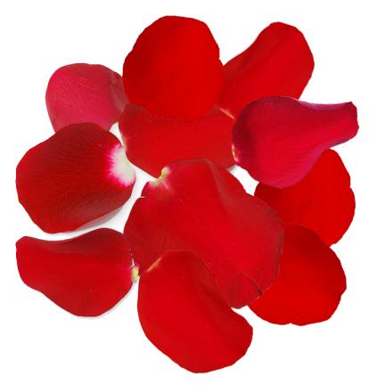 Fresh Rose Petals, Fresh Flower Petals | Rose Petal Weddings